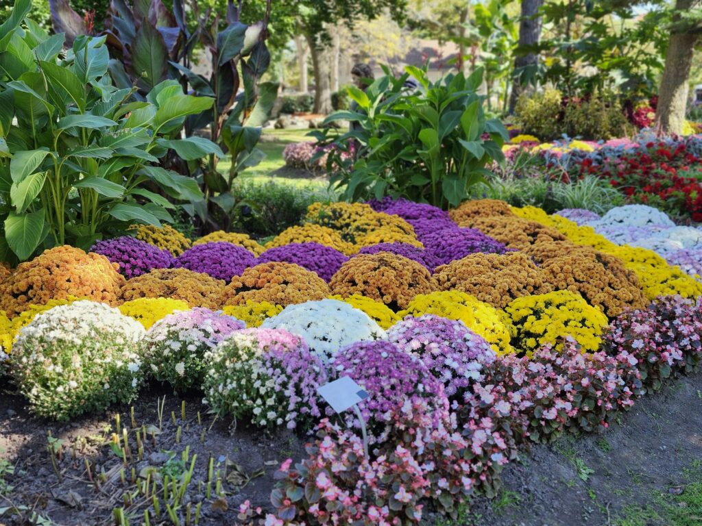 Garden Tips: Discover The Secrets Of Successful Gardening