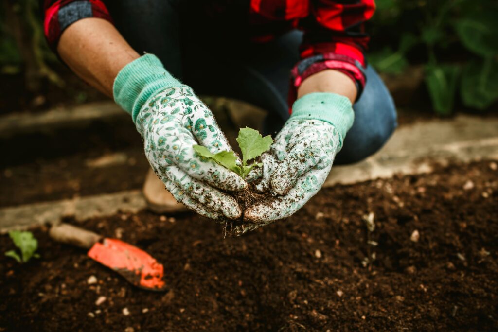 Aerating And Seeding Revitalize Your Lawn For Dense Growth