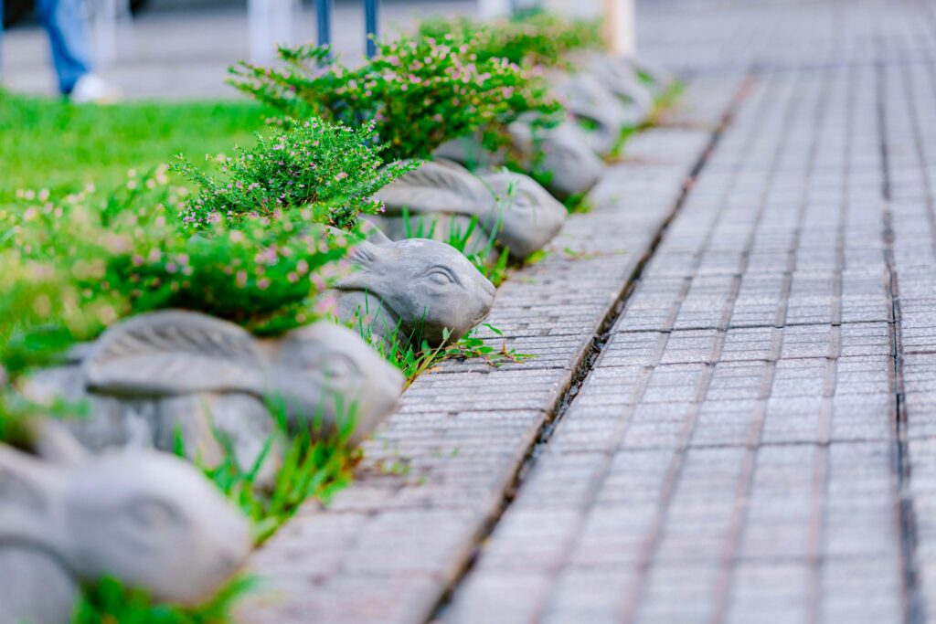 Pathways And Patios With Functional Stone Cladding